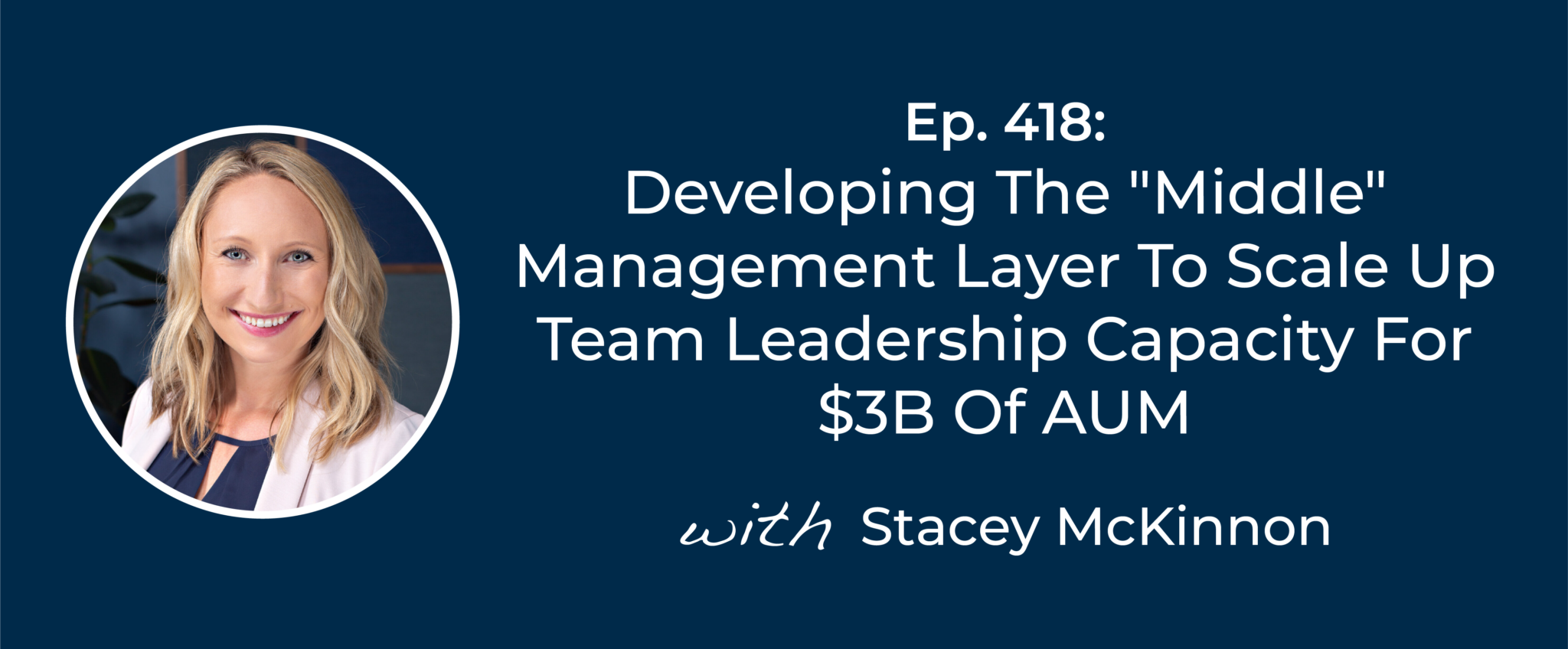About the Financial Advisor Success Podcast by Michael Kitces